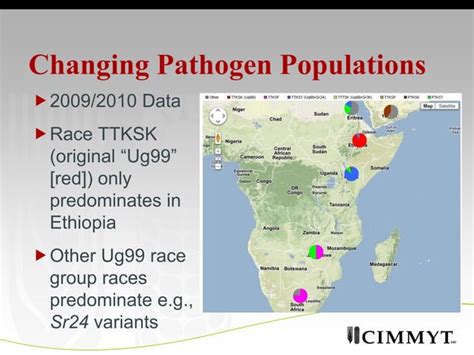 Tracking The Wheat Rust Pathogens Ppt