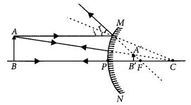 Important Question For Class Science Light Reflection And Refraction