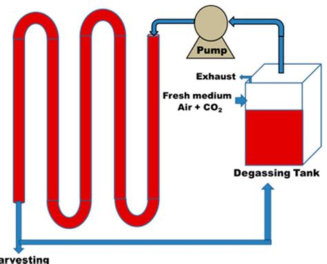 Schematic Diagram Showing Simple Tubular Photobioreactor