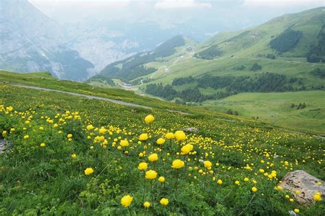 やりたい事を 好きな写真と旅とビールと
