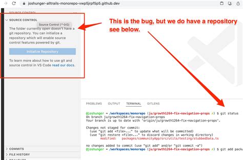 git source control tab does not recognize repository on codespaces github dev on slow