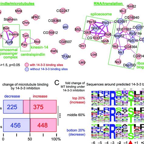 Bioinformatics Analysis A Physical Protein Protein Interactions