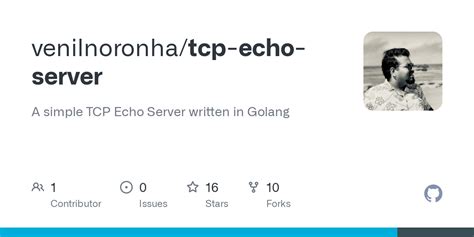 Github Venilnoronhatcp Echo Server A Simple Tcp Echo Server Written In Golang