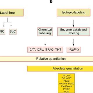 Mass Spectrometry Based Quantitative Approaches A Label Free Download Scientific Diagram