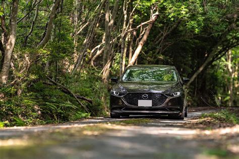MAZDA3の新緑と愛車新緑と息子森の中ネオアームストロングサイクロンジェットアームストロング砲Low Guyに関するカスタム事例車