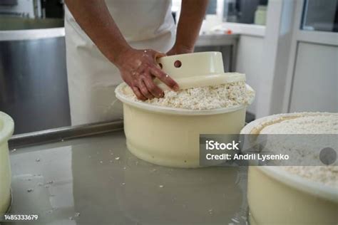 생산 농장에서 플라스틱 틀에 치즈를 성형하는 남자 치즈 제조업자의 클로즈업 신선한 양 우유로 만든 스페인 전통 치즈