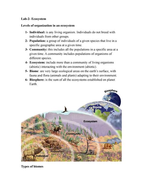 Ecosystem Lab 2 Ecosystem Levels Of Organization In An Ecosystem 1