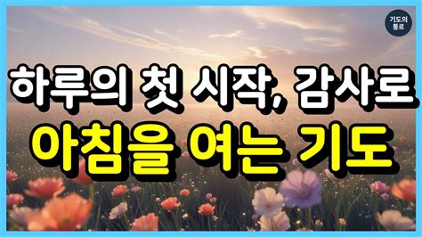 하루의 첫 시작 감사로 아침을 여는 기도 ㅣ아침감사기도 ㅣ 하루를 시작하는 기도 ㅣ매일기도 Youtube