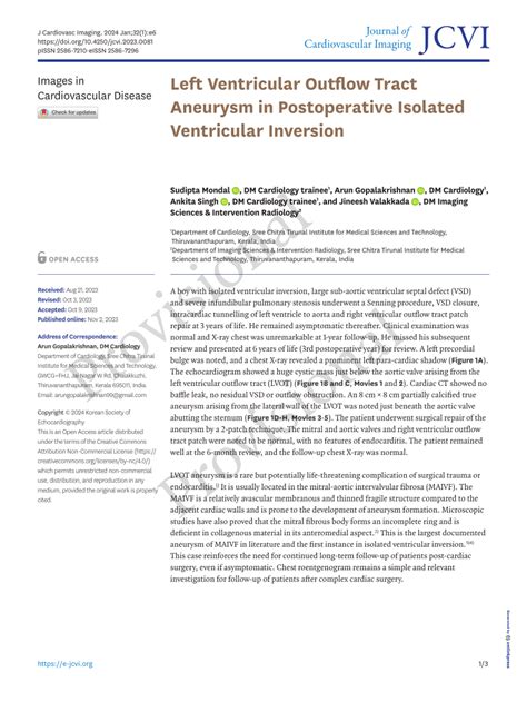 Pdf Left Ventricular Outflow Tract Aneurysm In Postoperative Isolated