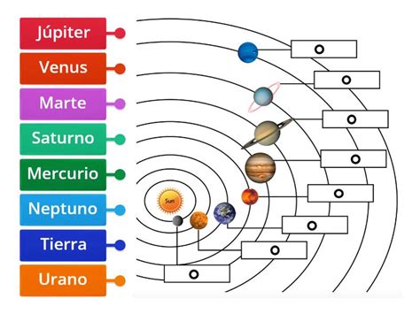 Orden De Los Planetas Del Sistema Solar Labelled Diagram
