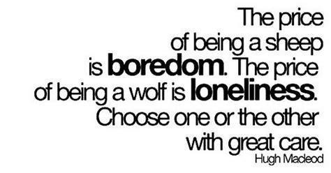 Testing My Other Uploads Wont Show Up Imgur