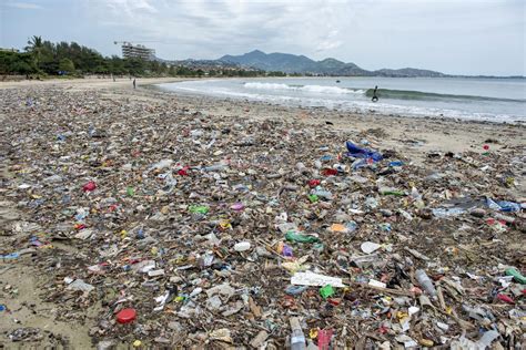 포스트 코로나 포스트 플라스틱 Greenpeace Korea 그린피스