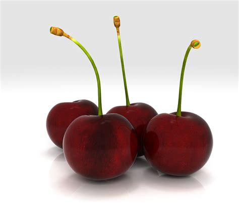 Cherry Free 3d Models Download Free3d