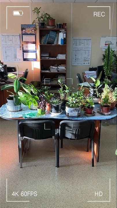 За растениями ухаживать надо Youtube