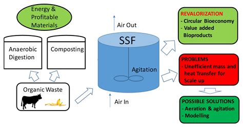 Diagram Of Solid State Fermentation The Benefits Of Solid St