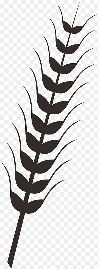 벼 Png 이미지 Pngegg