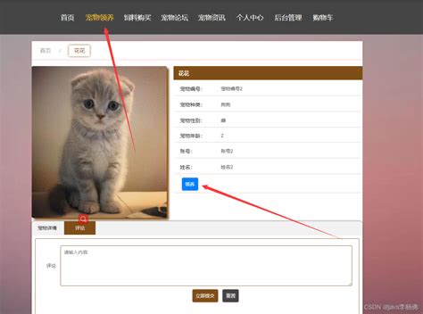 基于java实现宠物领养救助交流平台设计和实现51cto博客专业领养宠物平台