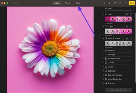 How To Crop A Photo Quickest Ways And Tools To Edit Like A Pro