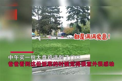 儿子给路过学校的父亲送饭菜爸爸无比感动琐碎的生活被治愈了 爸爸 饭菜 父亲