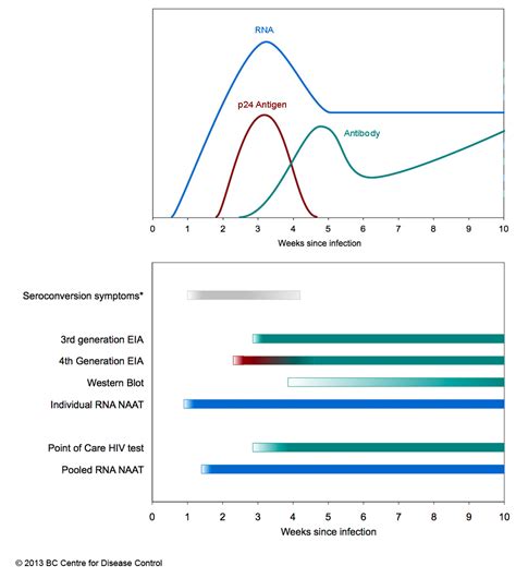 Understanding The Window Periods Of Hiv Tests Smartsex Resource