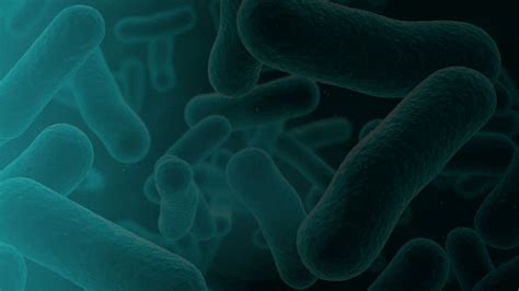Genomics Ngs Sequencing Azenta Life Sciences