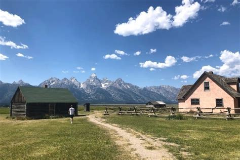 Colter Bay Village Cabins At Grand Teton Midlife Globetrotter