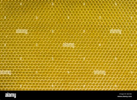 Honeycomb Cell Honeycomb Cells Hi Res Stock Photography And Images Alamy