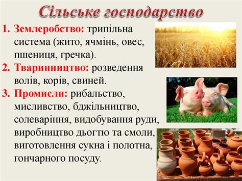 Соціальний устрій та господарське життя України друга половина ХІv Хv ст презентация онлайн