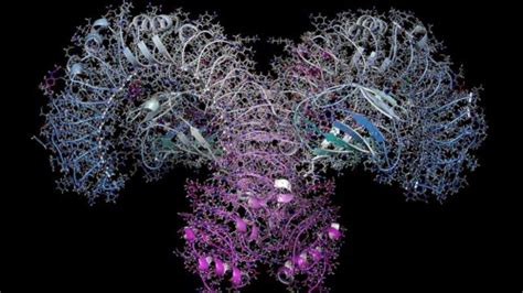 Time Resolved Structure Determination