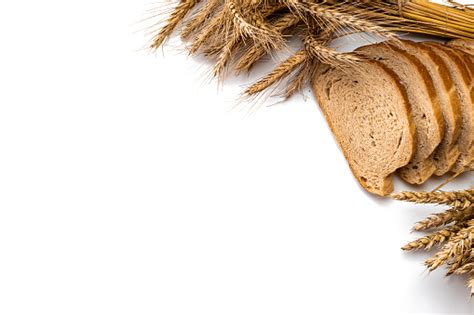 덩어리 빵 거친 빵과 부스러기가있는 호밀 빵집 흰 배경에 고립 된 밀 곡물 귀 또는 스파이크 식물이있는 소박한 전통 빵 덩어리 바이오 성분 매우 건강한 씨앗 갈색에 대한