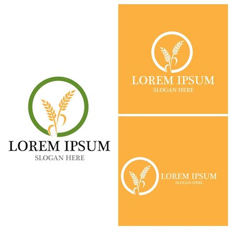 농업 밀 벡터 프리미엄 벡터