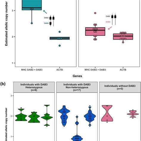 A Combined Boxplot And Dotplot Of The Total Allelic Copy Numbers Of Download Scientific