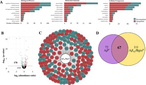 Clustering And Correlation Analysis Of The Proteomes A A K Means