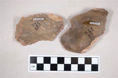 Chipped Stone Flint Flakes One With Cortex Objects Emuseum