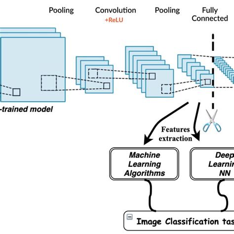 Transfer Learning Architecture Download Scientific Diagram