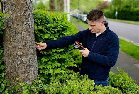 Supporting Professional Development Bat Survey Training BSG Ecology