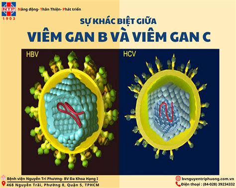 Định nghĩa b to c là gì và các ứng dụng của thuật ngữ trong kinh doanh