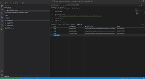 vscode remote extension doesn t expose docker ports correct · issue