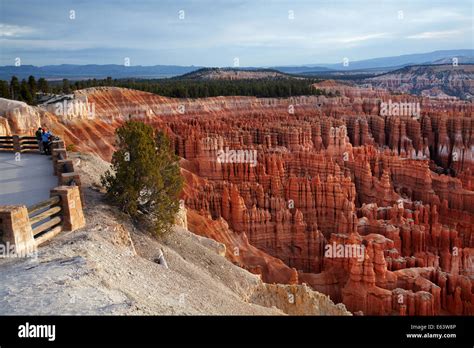 Hoodoos In Bryce Amphitheater Seen From Inspiration Point Bryce Canyon National Park Utah