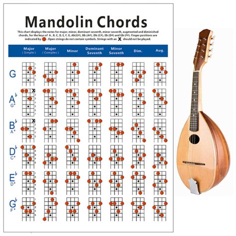 Buy Milisten Mandolin Cord Chart Essential Practice Chart Large Size Plate Paper Mandolin