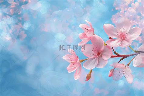 春天樱花背景蓝色梦幻插画背景图片免费下载 千库网