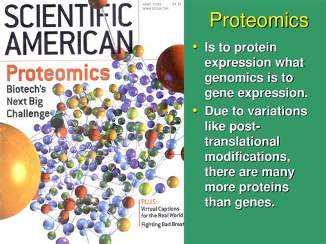 Ppt Analysis Of Gene Networks And Signaling Pathways Based On Gene Expression And Proteome