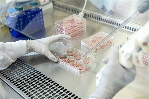 Life Science Startups Split 3m As Ontario Starts Spending New Innovation Fund The Logic