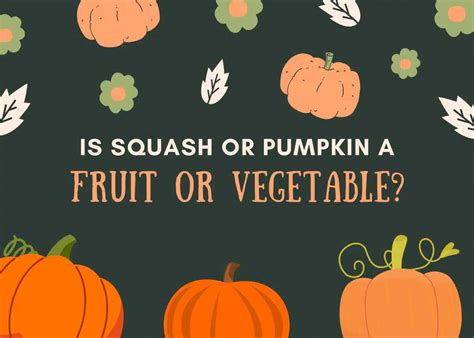 Squash Vegetable Types