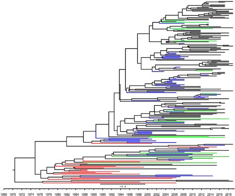 Frontiers The Characteristics Of Hiv 1 Subtype B On Phylogenetic