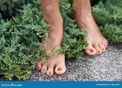 Female Feet In Juniper With A Do It Yourself Pedicure And Red Nail