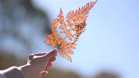 The Ultimate Guide To RDP Troubleshooting Security And Usage