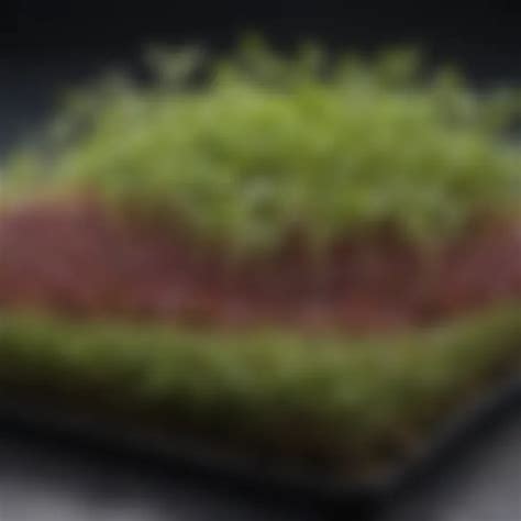 A Comprehensive Guide To Germinating Microgreens