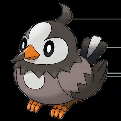 Starly Pokémon Wiki Fandom