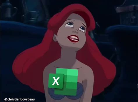 Christian Bourdeau 📈 On Linkedin Finance Accounting Marketing Excel Dataanalyst